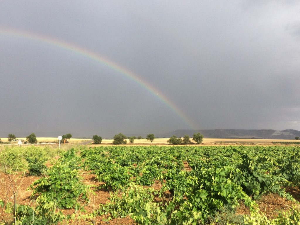 LAS COOPERATIVAS COCOPE Y LA PEÑA CULMINAN UN NUEVO PROCESO DE FUSIÓN ...